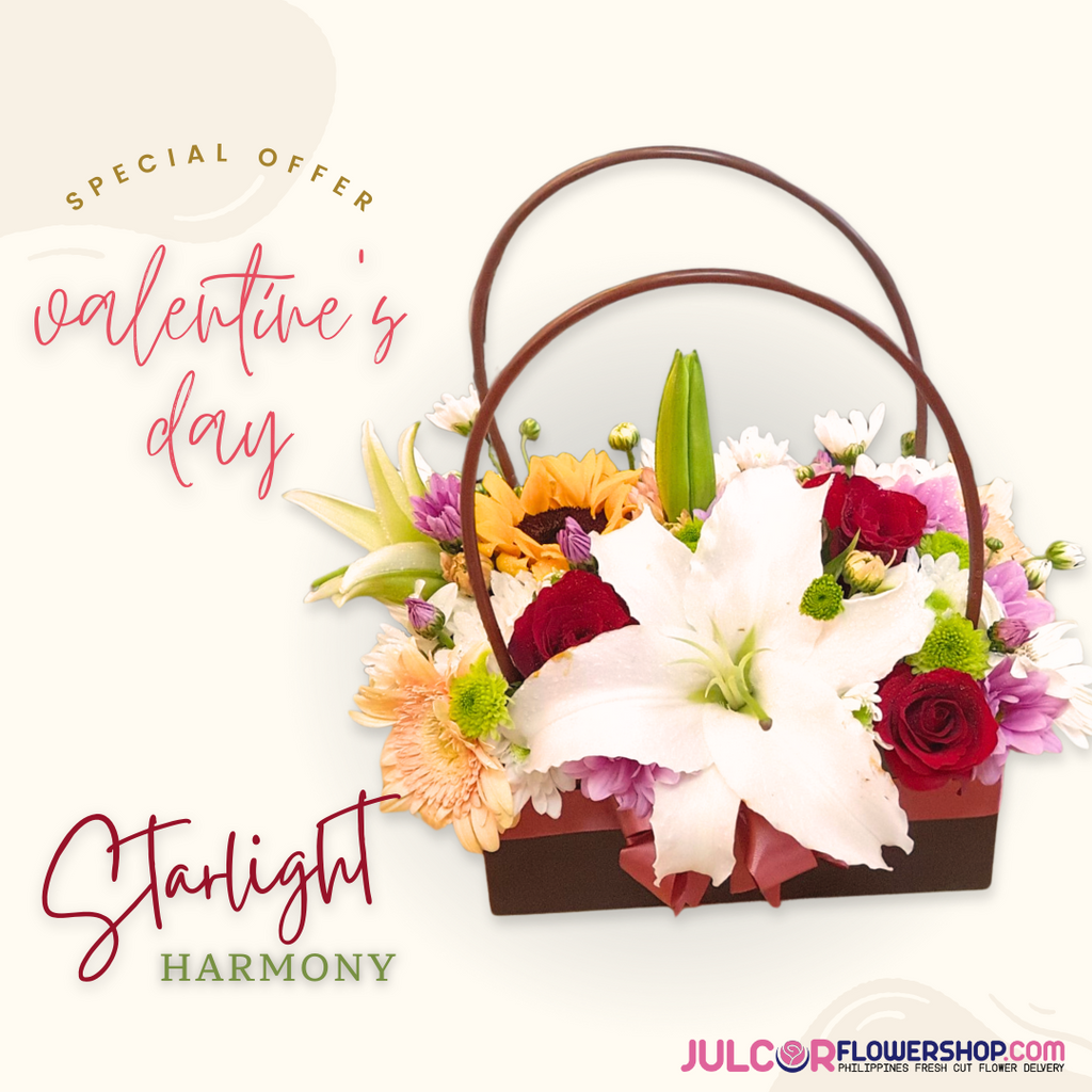 Starlight Harmony– JULCOR FLOWERSHOP